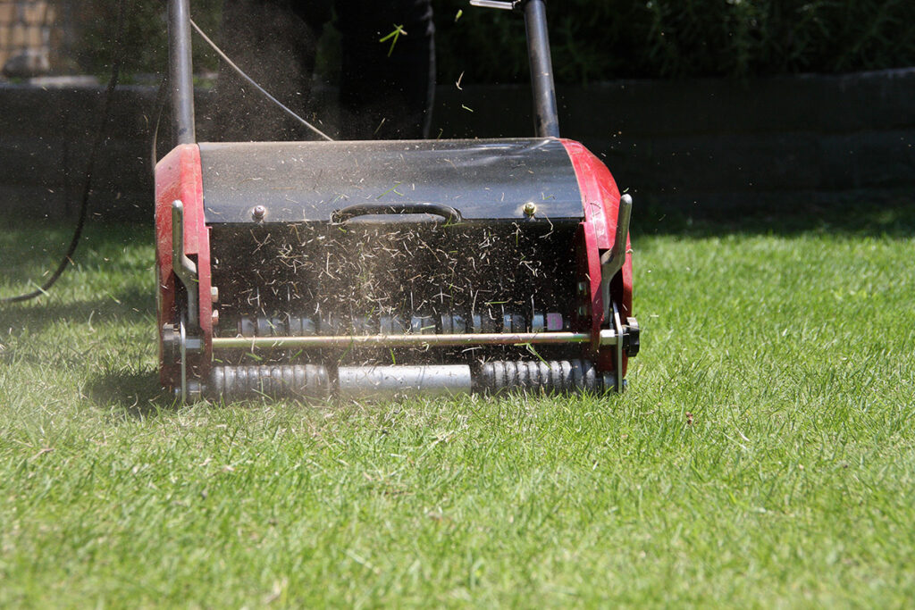 lm12v_photo_05_1200 | BARONESS