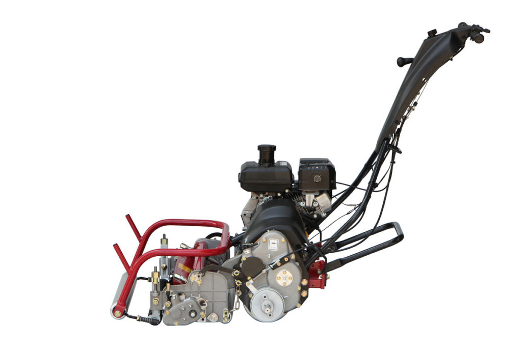 lm101_photo_a35_1200 | BARONESS